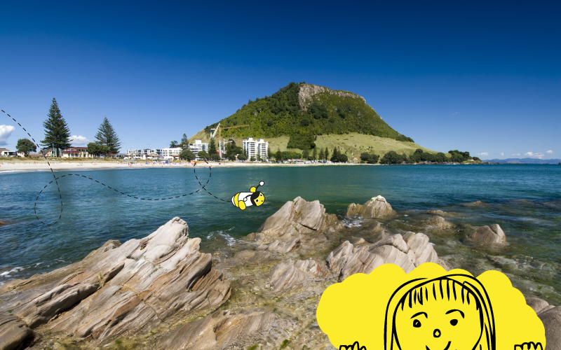 A Closer Look at Tauranga’s Burgeoning Tech · Beyond Recruitment